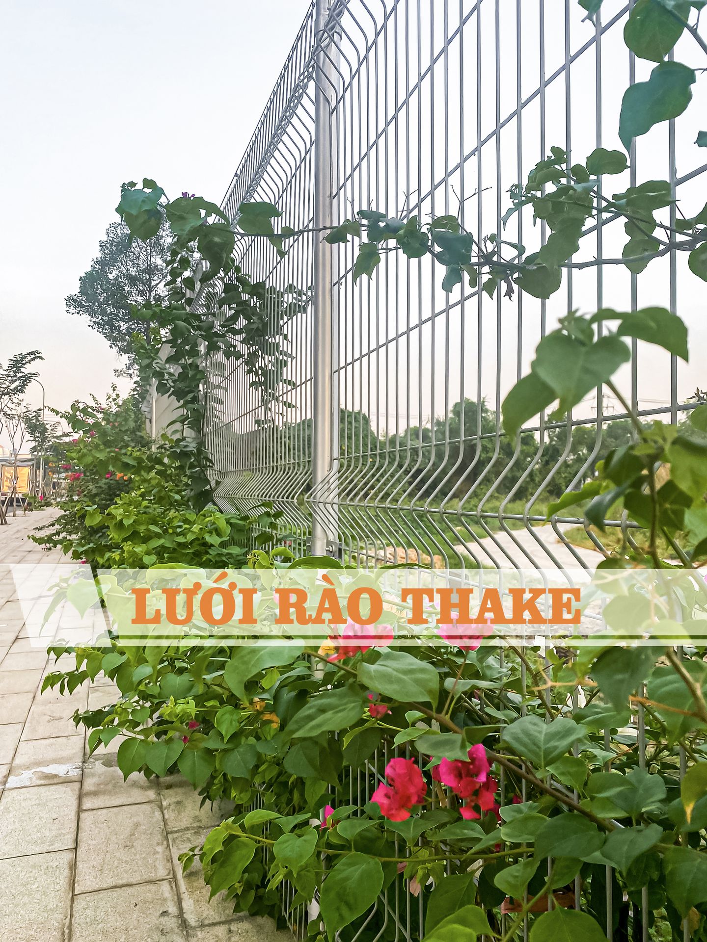 Home | Lưới rào Thake